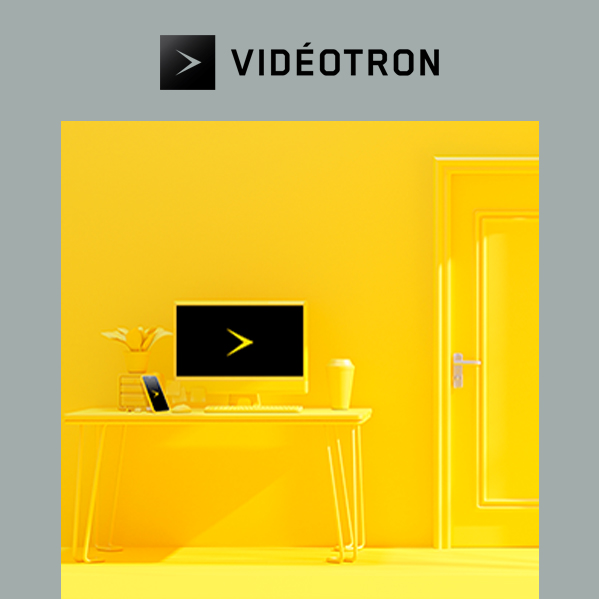 Avantage Vidéotron - Conseil des métiers d'art du Québec